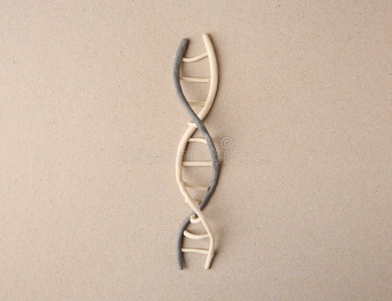 DNA Molecular Chain Model Made of Metal on Grey Background, Top View ...