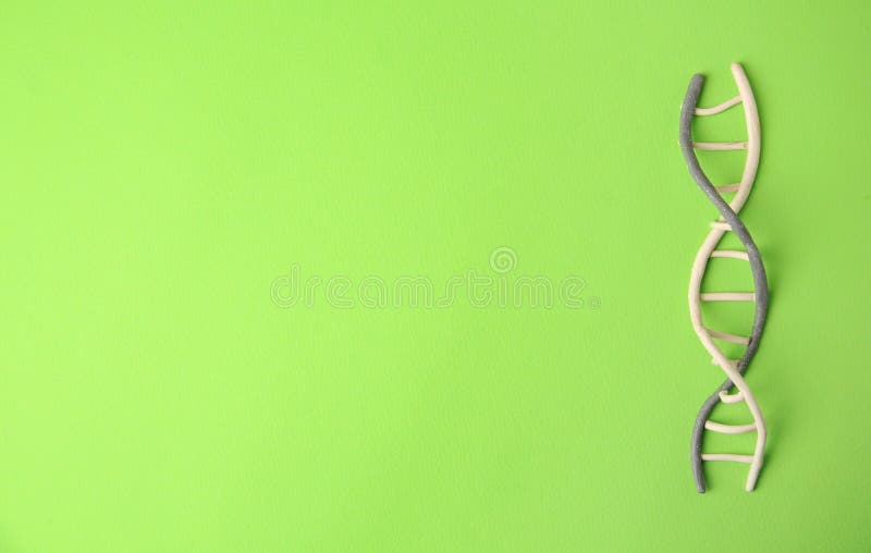 Plasticine Model of DNA Molecular Chain on Green Background, Top View ...