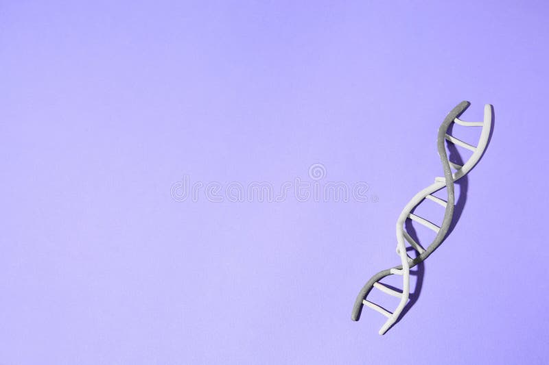 Plasticine Model of DNA Molecular Chain on Violet Background, Top View ...