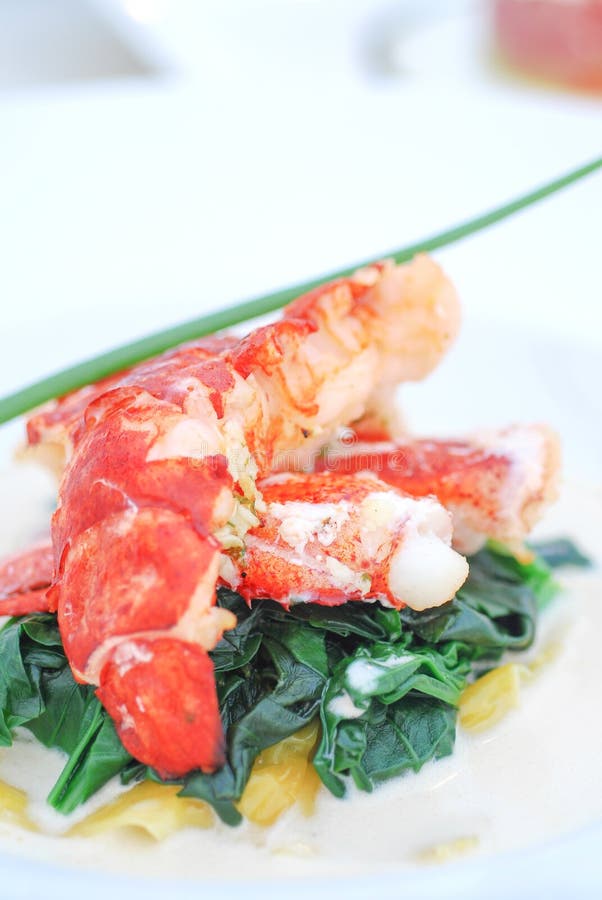 Plat de homard photo stock. Image of delicatessen, délicieux - 37565788
