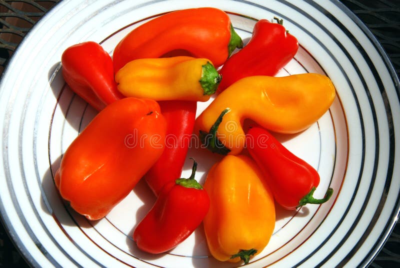 1,049 Mini Poivrons Doux Photos libres de droits et gratuites de Dreamstime
