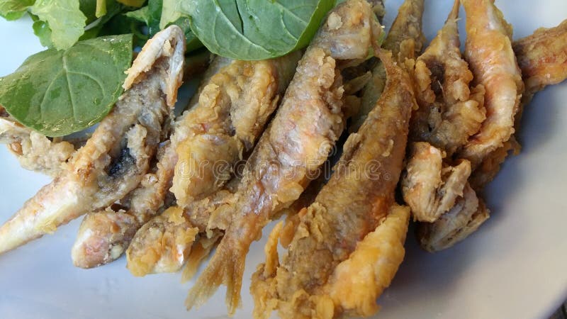 D'un Plat Est Frit Les Chanterelles Aux Oignons Et Aux Pommes De Terre ...