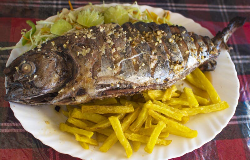 Plat De Poisson Un Thon Frit Image stock - Image du produit, nourriture ...
