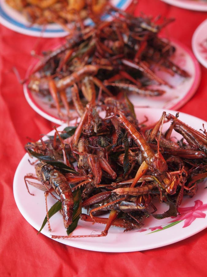 Plat des insectes frits photo stock. Image du marché - 33368808
