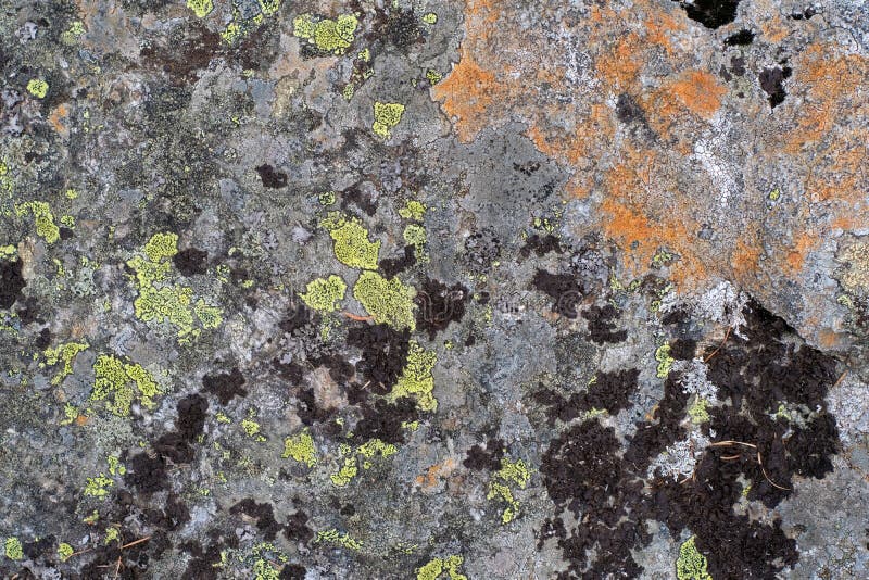 Stone with Orange, Light Green and Black Plat on it Stock Photo - Image ...