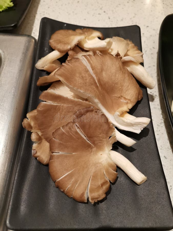 Abalone Mushrooms Young Spore Was Feed in Viet Nam. Stock Photo - Image ...