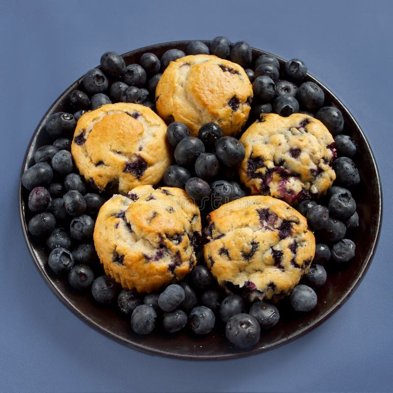 Plate of blueberry muffins stock image. Image of berry - 15543875