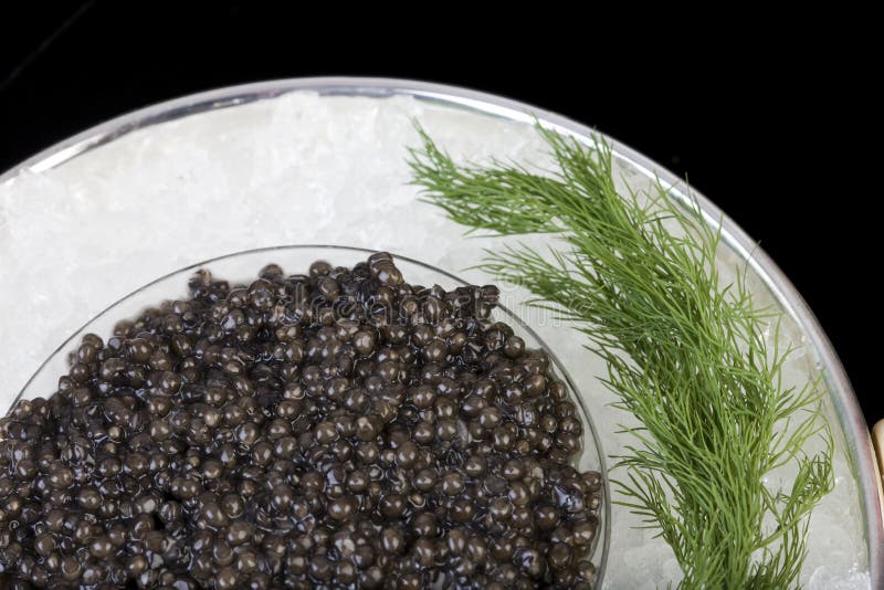 Plate with Caviar and Dill, Sturgeon, Acipenser Sp., Eggs Stock Photo ...