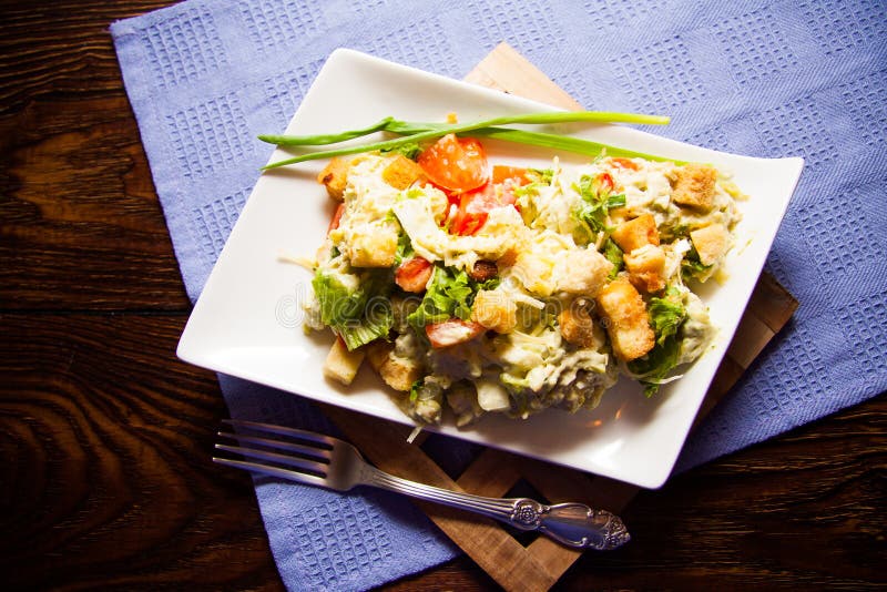 Plate of ceasar stock photo. Image of fruit, copy, dinner - 65209674