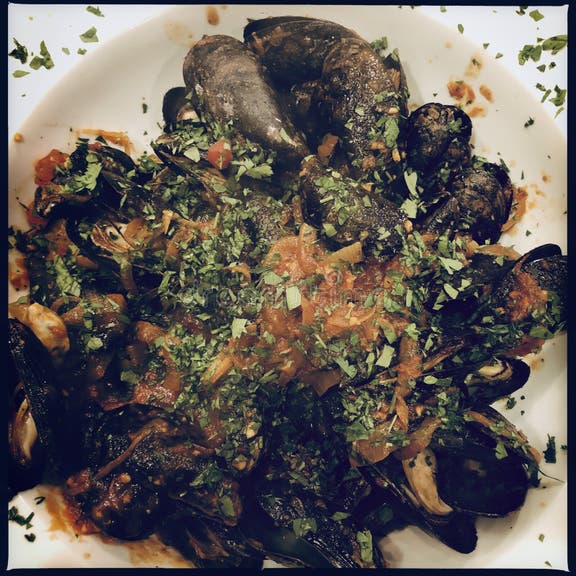 Cooked muscles stock image. Image of rich, clams, dinner - 137058343