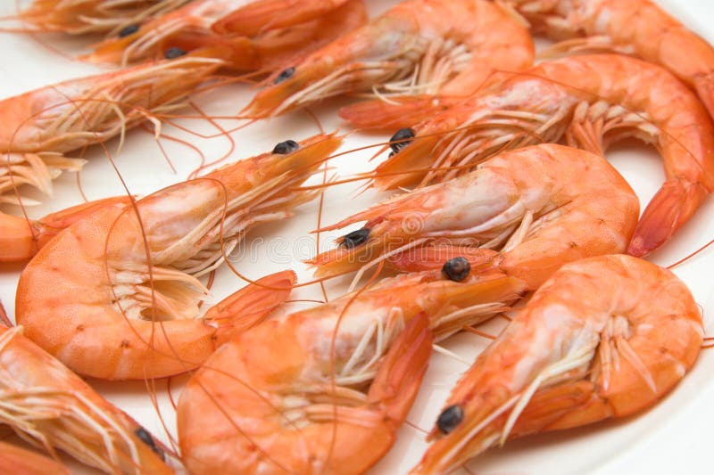 Plate of cooked prawns stock image. Image of gamba, pink - 835069