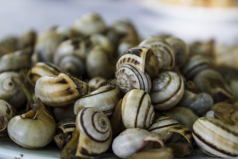Cooked Snails or Escargot Close Up Stock Photo - Image of plate, lunch ...