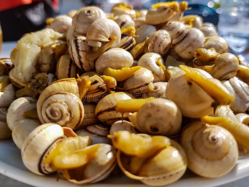 Plate with cooked snails stock photo. Image of escargot - 189975196
