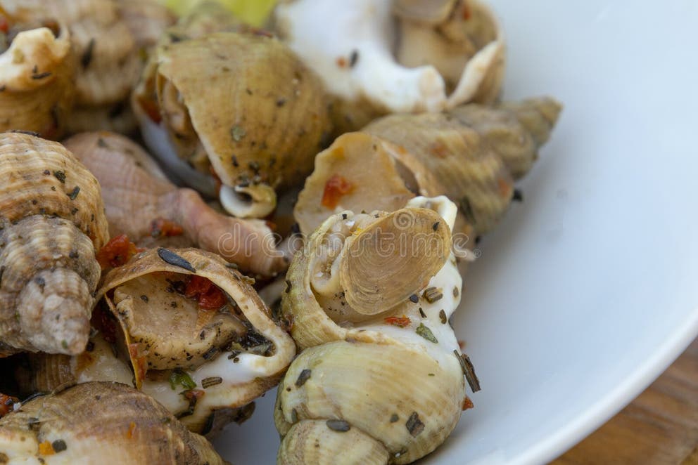 Plate of Cooked Whelks on a Table Stock Image - Image of fresh, seafood ...