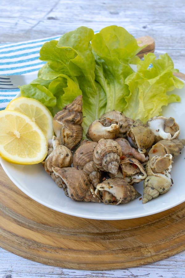 Plate of Cooked Whelks on a Table Stock Image - Image of whelk, whelks ...