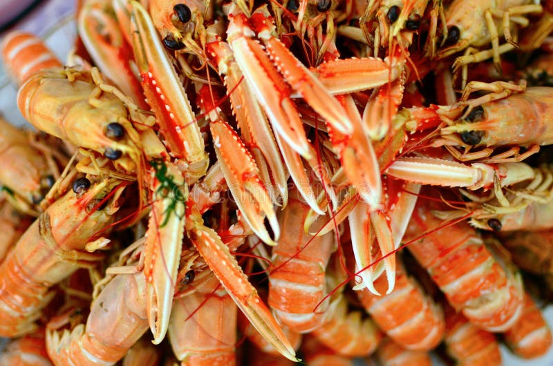 Plate of crayfish claws stock image. Image of river, shell - 26211947