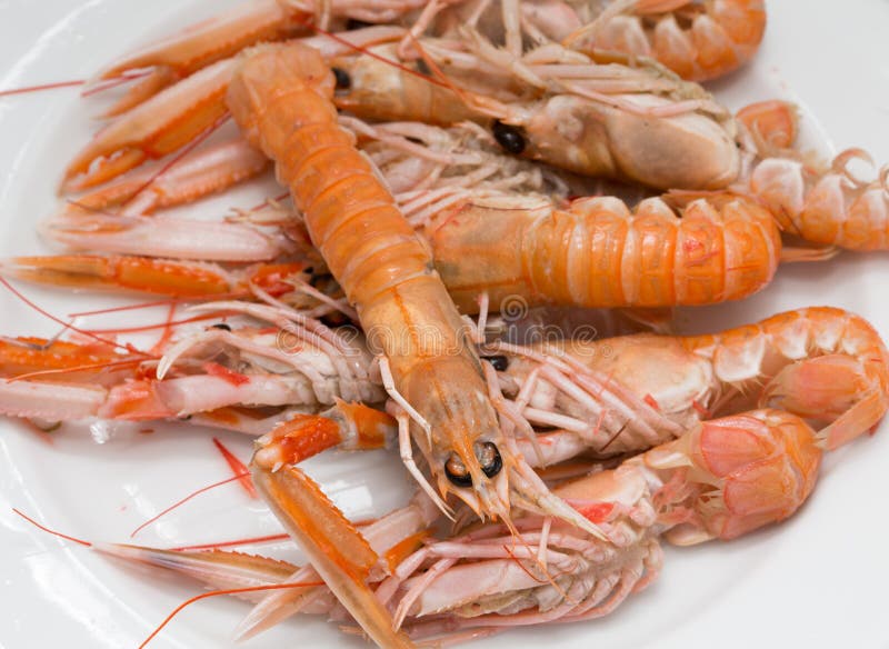 Plate of crayfish stock image. Image of full, mollusk - 30739535