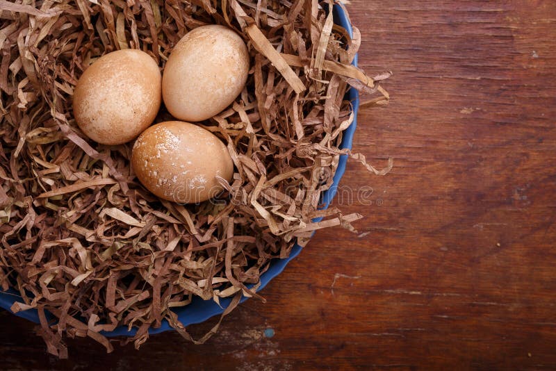 Plate Decorated As Bird Nest with Brown Colored Eggs on Rustic ...