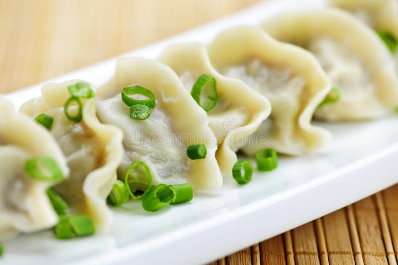 Plate of dumplings stock image. Image of lunch, plate - 13198435