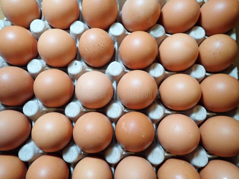 Plate of Eggs Raw and Uncooked Stock Photo - Image of agriculture ...
