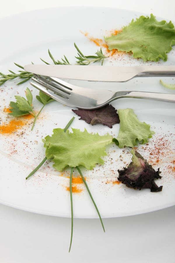 Plate finish stock image. Image of fork, entry, cutlet - 14653917