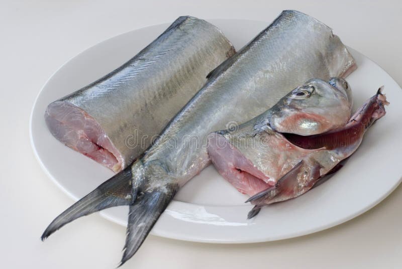 Plate of fish stock image. Image of silver, chopped, skin - 10039709