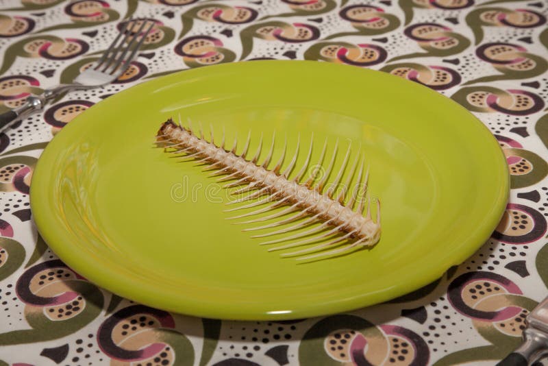 Plate with fish bone stock image. Image of dinner, table - 39513825