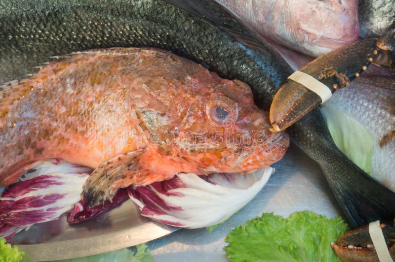 Plate of fish selection stock image. Image of seafood - 38288913