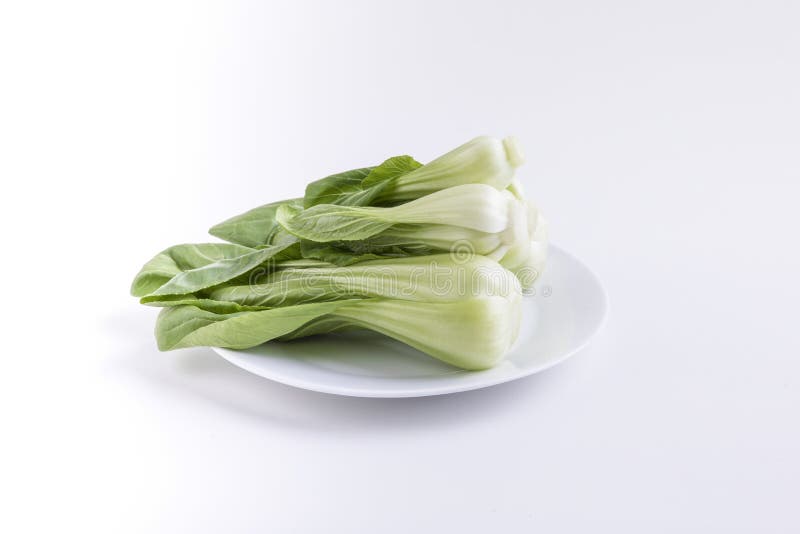 Plate of Fresh Bak Choy on a White Plate Stock Photo - Image of white ...