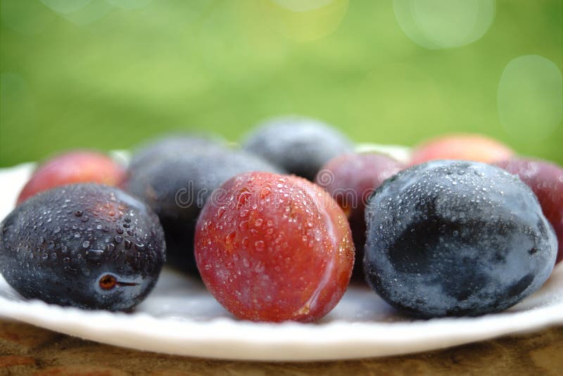 Plate with Fresh Delicious Plums Stock Image - Image of plums, vitamins ...