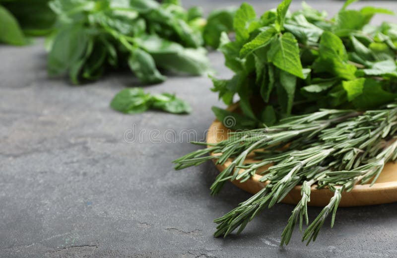 Plate with Fresh Green Herbs on Table Stock Photo - Image of herbal ...