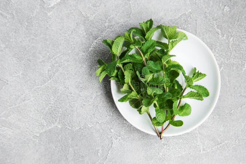 Plate with fresh mint stock photo. Image of organic - 116601174