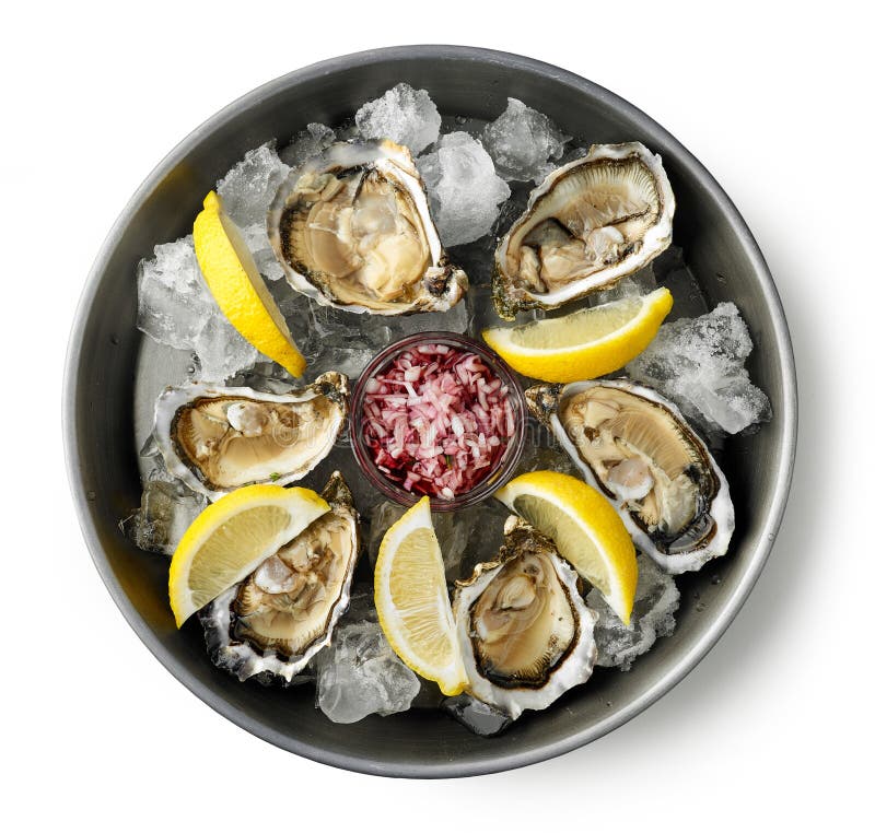 159 Plate Fresh Raw Oysters Isolated White Background Top View Stock ...