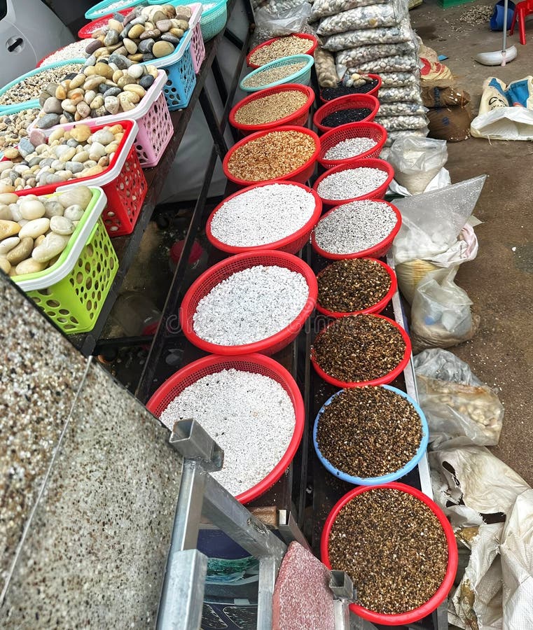 The Red Plate is Full of Green Mangoes. Pickles Stock Image - Image of ...