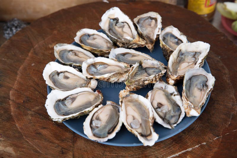 Plate Full of Oyster Seafood with Open Shell Stock Photo - Image of ...