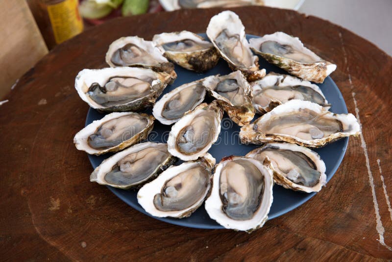 Plate Full of Oyster Seafood with Open Shell Stock Photo - Image of ...