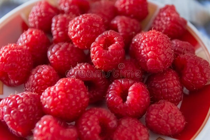 A Plate Full of Raspberries Stock Image - Image of lots, slim: 170000427