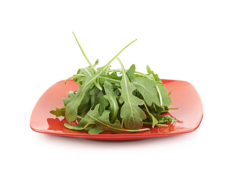 Plate Full of Rocket Salad Leaves Isolated Stock Image - Image of ...