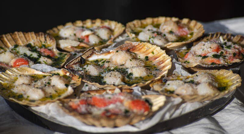 Plate full of Scallops stock photo. Image of lemon, fresh - 206312756