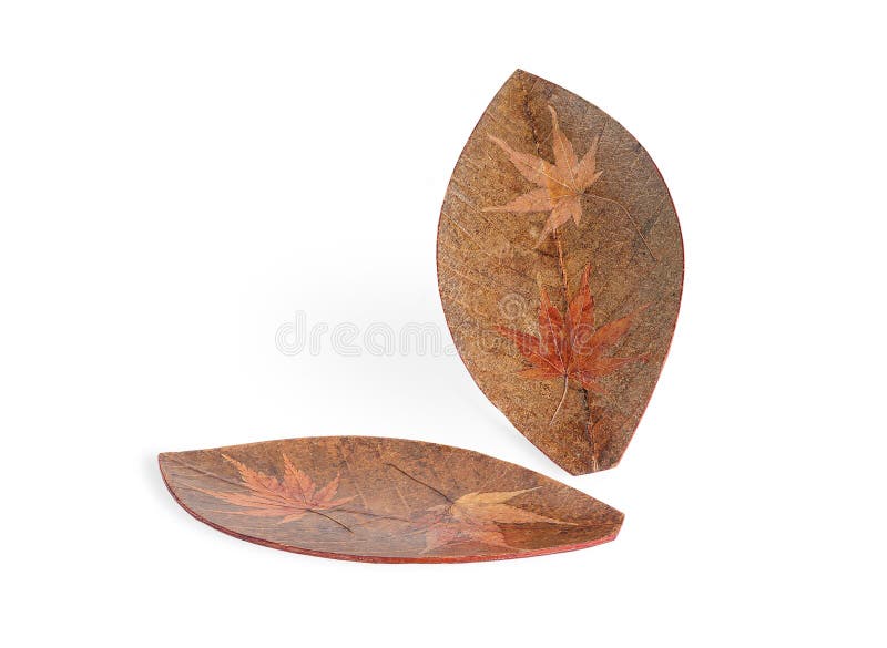 Plate Made from Natural Leaf Isolated on White Background with Clipping ...