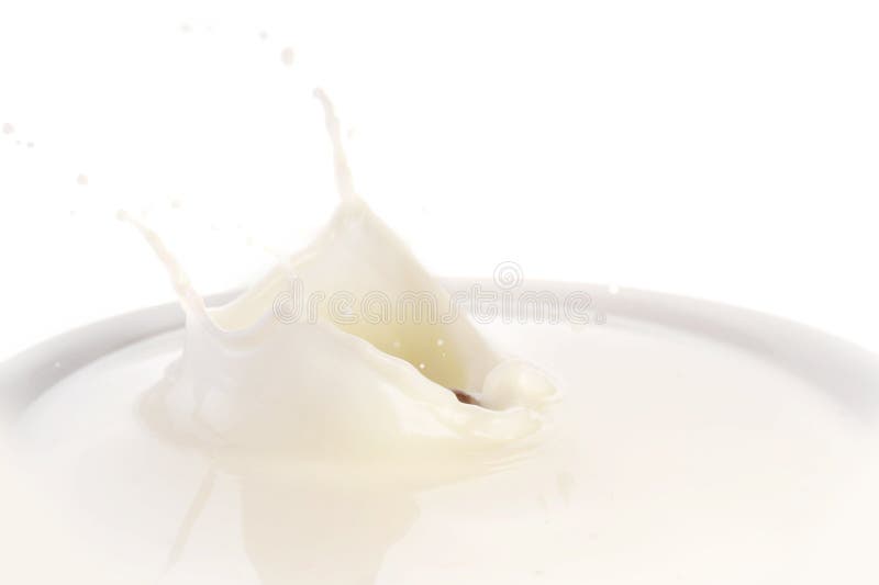 Plate with milk stock image. Image of beverage, drink - 11779989