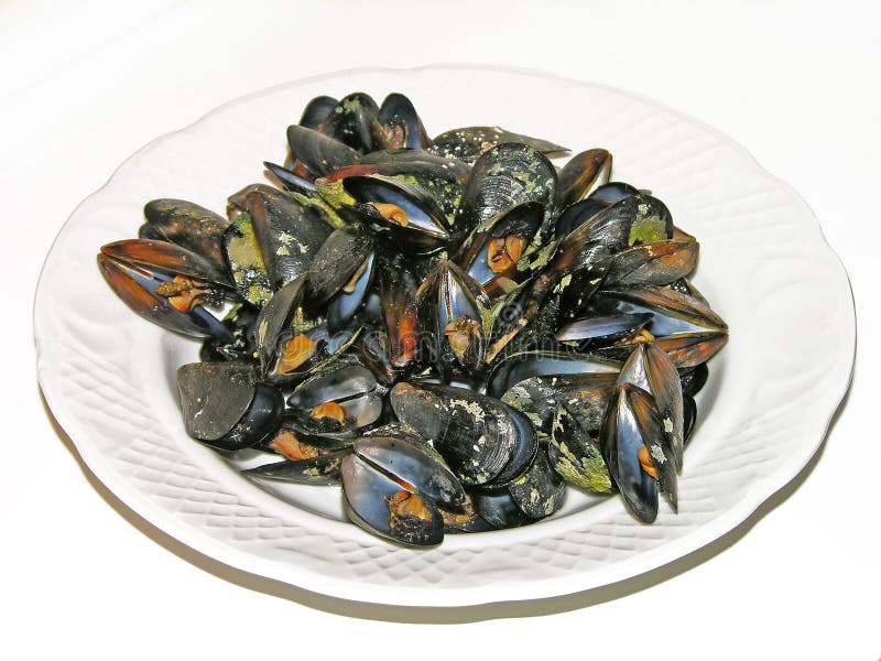 Plate of mussels stock image. Image of mussles, fresh - 11909527