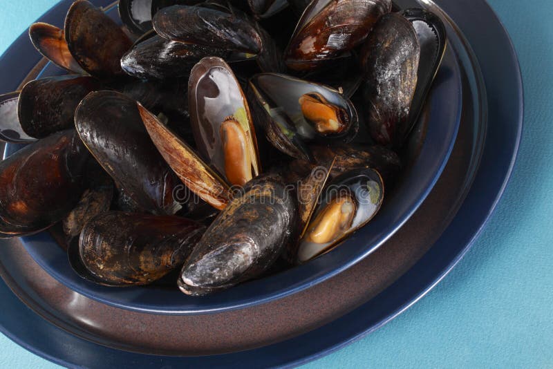 Plate of mussels stock photo. Image of steamed, boiled - 26405346