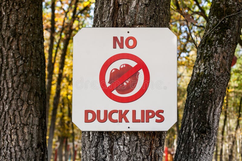 The Plate of No Duck Lips, the Sign Stock Photo - Image of duck, white ...