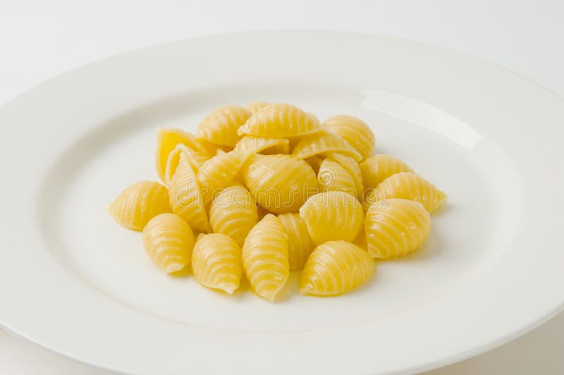 Plate of pasta shells stock image. Image of dinner, nutrition - 12316177