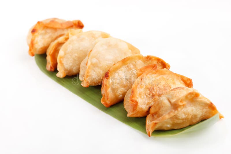 Plate of potstickers stock photo. Image of details, dinner - 17764798