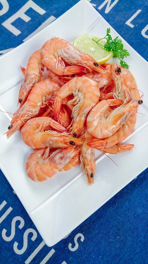 Plate of prawns stock image. Image of delicious, prawn - 199921131