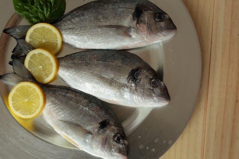 Plate with raw fish stock image. Image of healthy, meal - 65049263