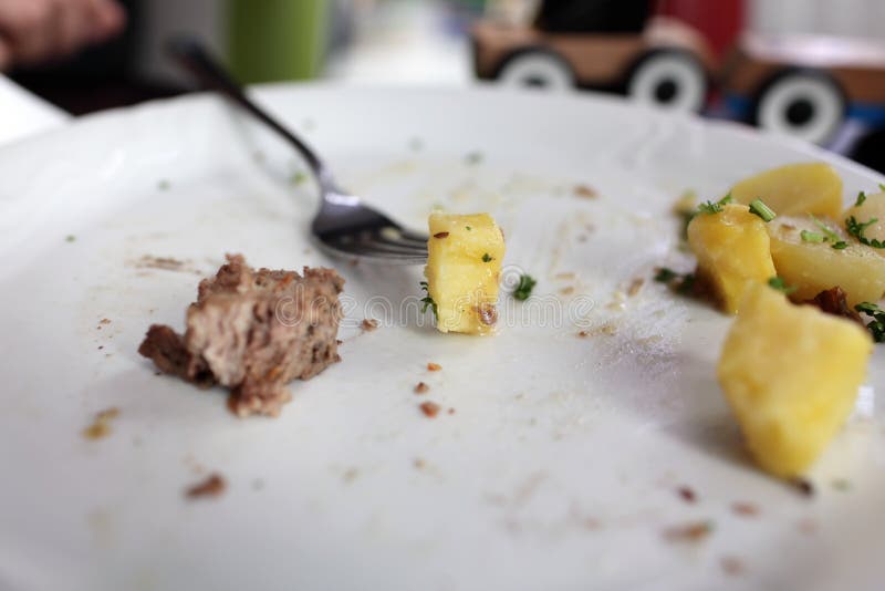 Plate with Remnants of Pork and Potatoes Stock Image - Image of lunch ...