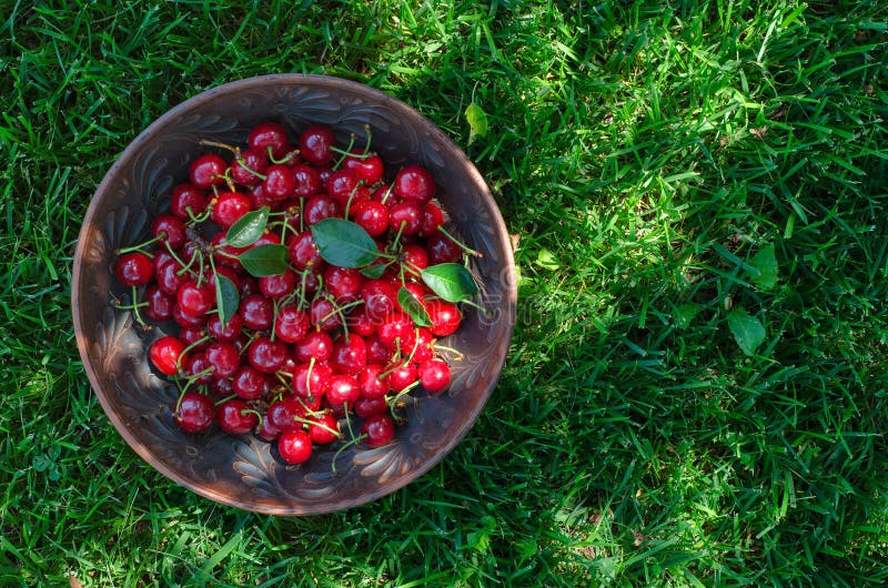 Plate with ripe cherries stock image. Image of nutrition - 224888621